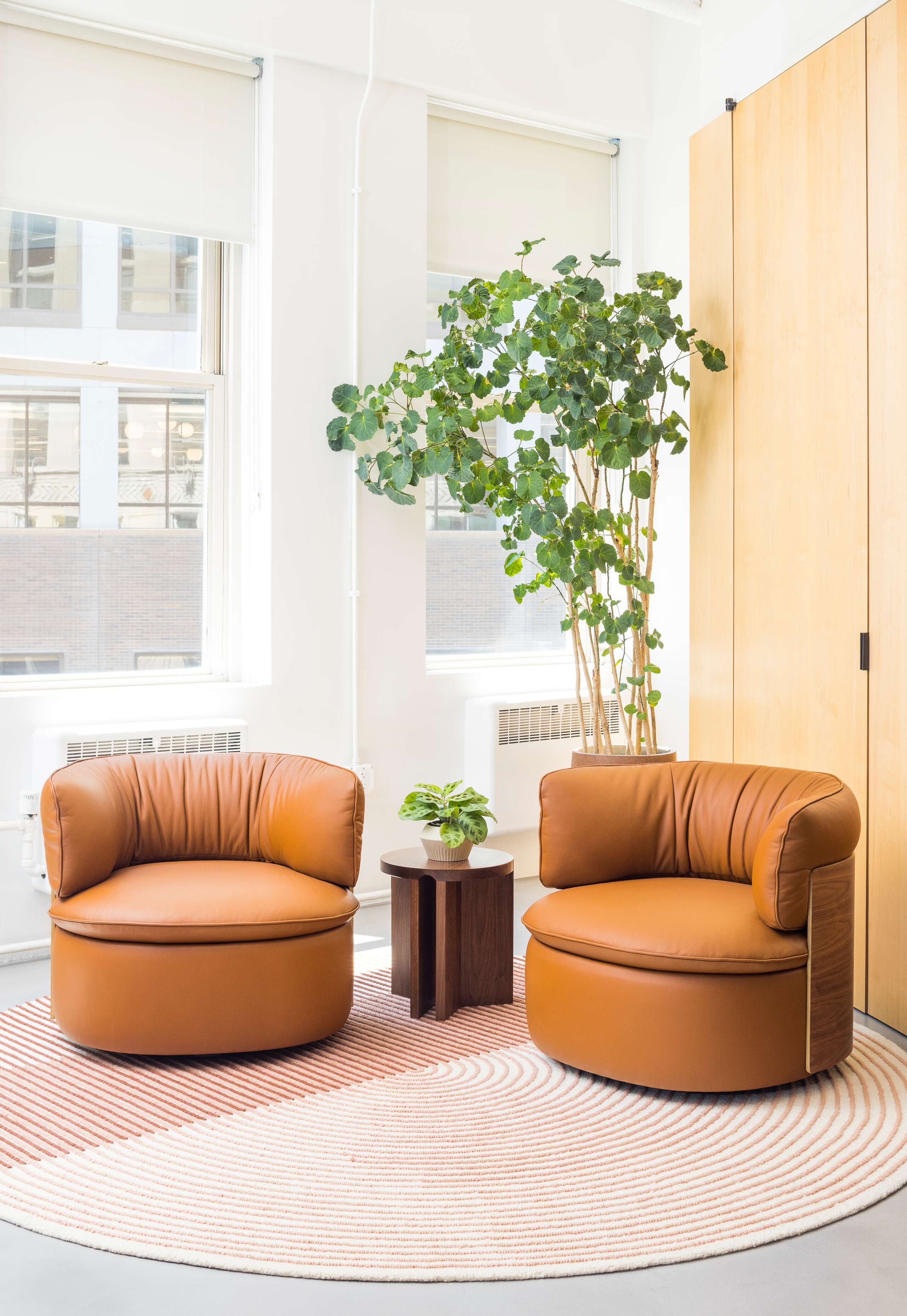 Oko / Products / Stylex